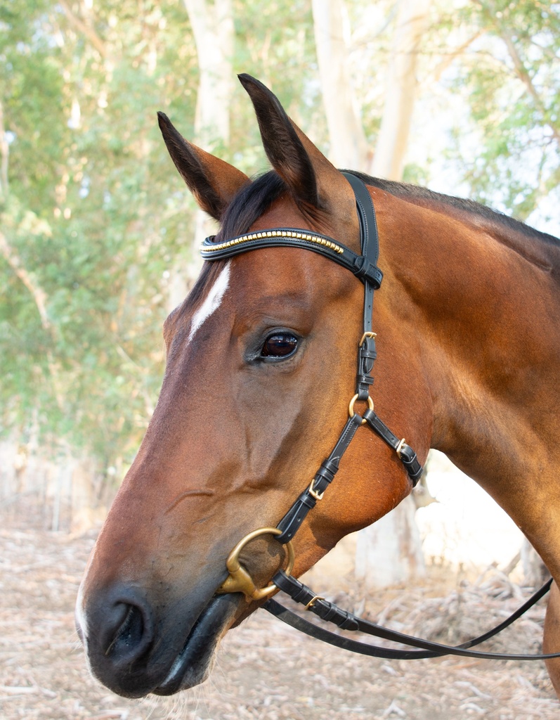 ALESSIO Snaffle Bridle | Vivace Equine