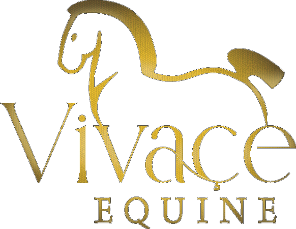 Login | Vivace Equine
